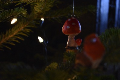 Christmas at Haddon Hall | Green Adventures