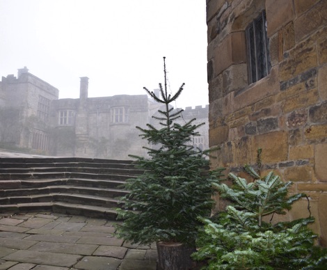 Christmas at Haddon Hall | Green Adventures
