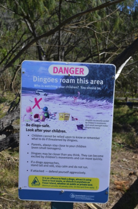 Wildlife warning: the wonderful world of Australian road signs | Green ...